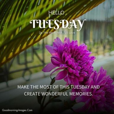 ᐅ100+ Happy Tuesday Good Morning Wishes & Messages