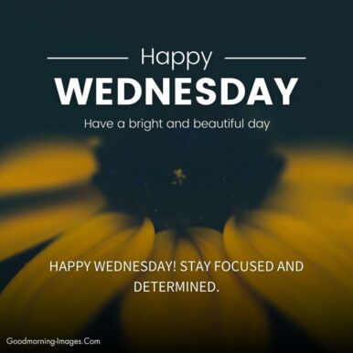 ᐅ100+ Happy Wednesday Good Morning Wishes & Messages