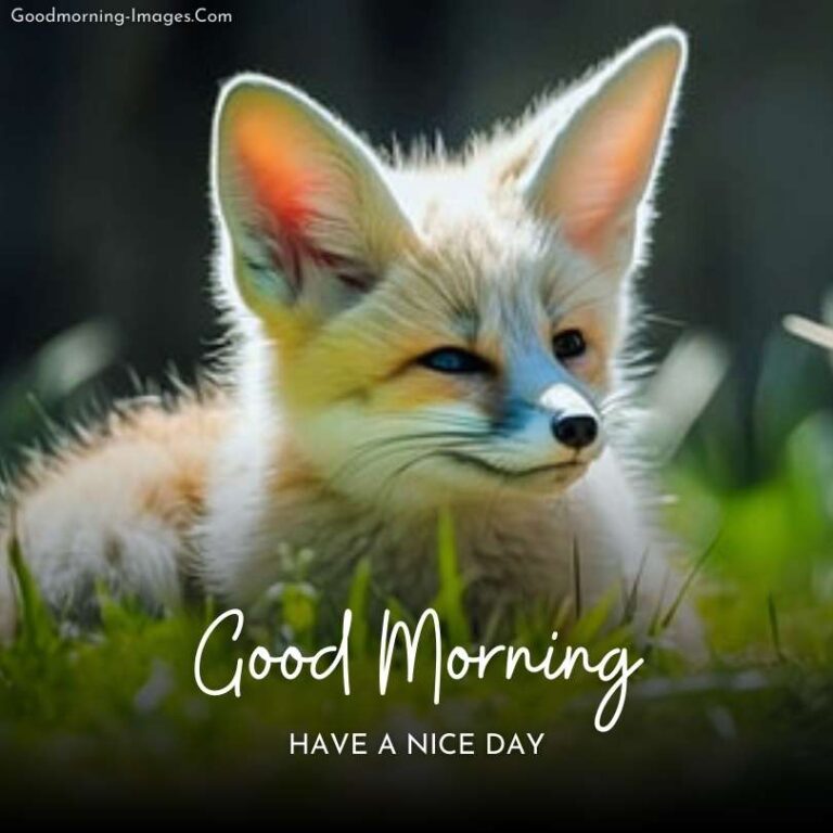 ᐅ100+ Cute Good Morning Images, Photos For WhatsApp