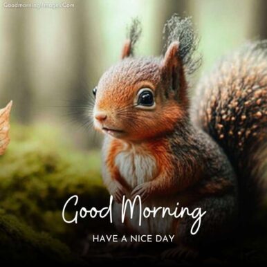 ᐅ100+ Cute Good Morning Images, Photos For WhatsApp