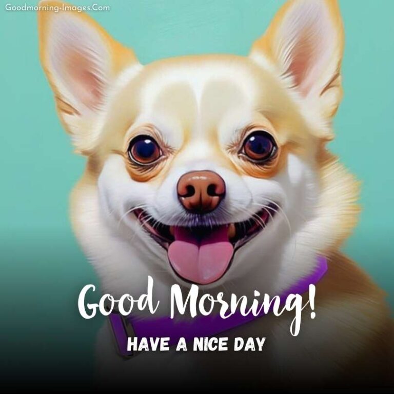 ᐅ100+ Cute Good Morning Images, Photos For WhatsApp