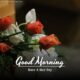 ᐅ100+ Good Morning 4k HD Images, Photos & Pictures