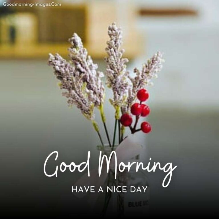 ᐅ100+ Good Morning Greetings Images, Photos & Pictures