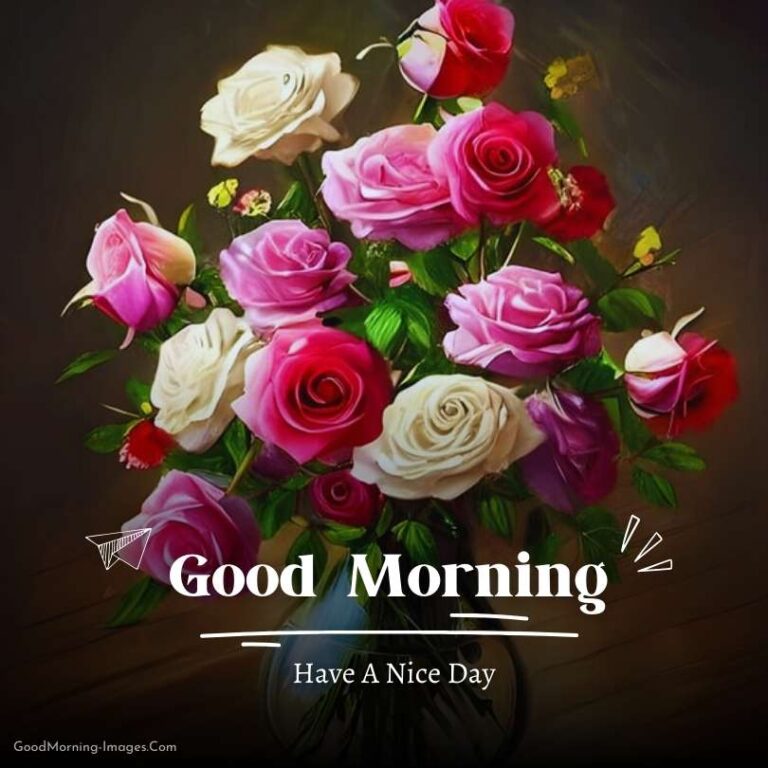 ᐅ250+ Good Morning Rose Images, Photos & Pictures