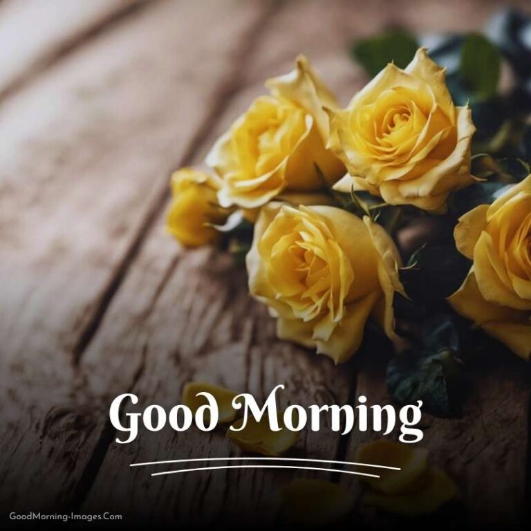 ᐅ250+ Good Morning Rose Images in HD For GF & BF