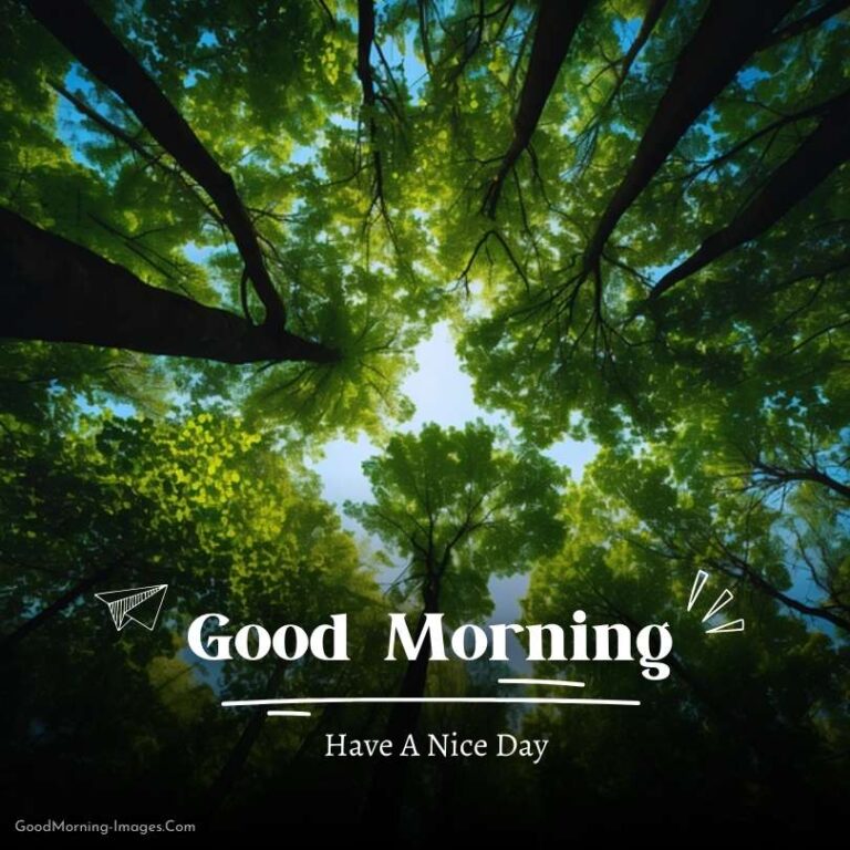 ᐅ100+ Good Morning Nature Images [Real Morning View]