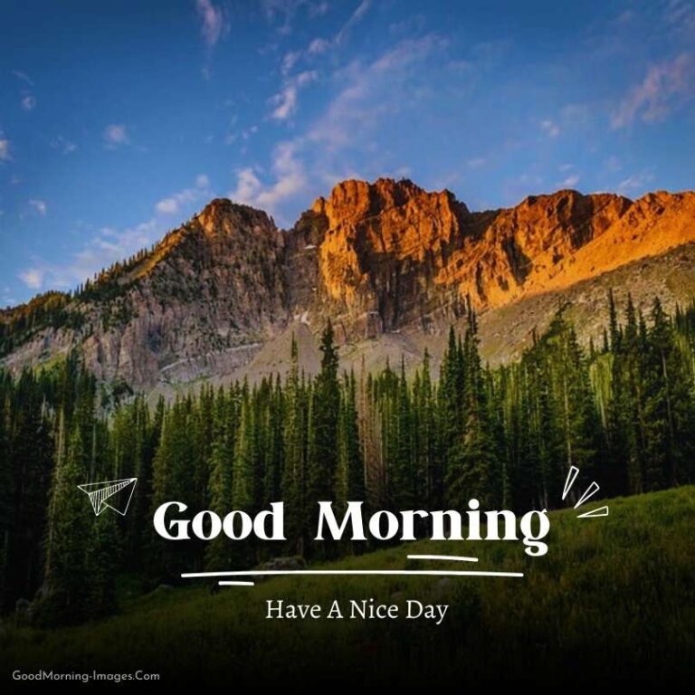 ᐅ100+ Good Morning Nature Images [Real Morning View]