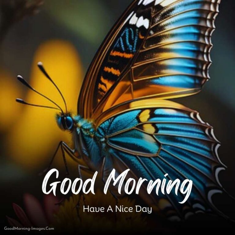 ᐅ100+ Good Morning Nature Images [Real Morning View]