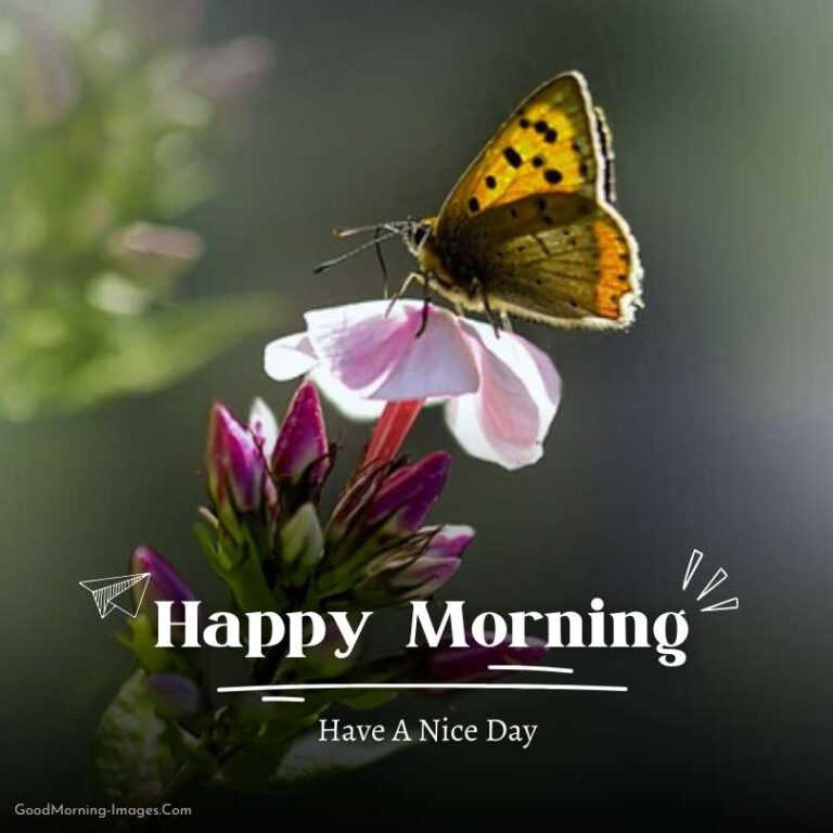 ᐅ150+ Happy Morning Images, Photos & Wishes