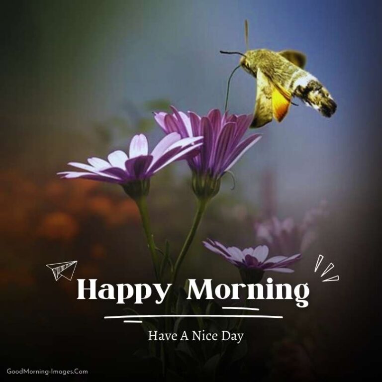 ᐅ150+ Happy Morning Images, Photos & Wishes