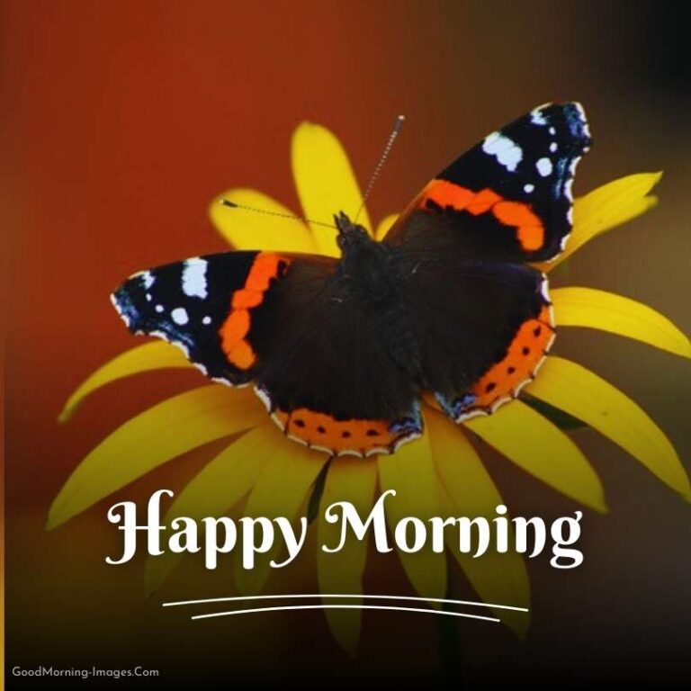 ᐅ150+ Happy Morning Images, Photos & Wishes