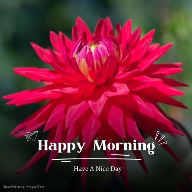 ᐅ150+ Happy Morning Images, Photos & Wishes