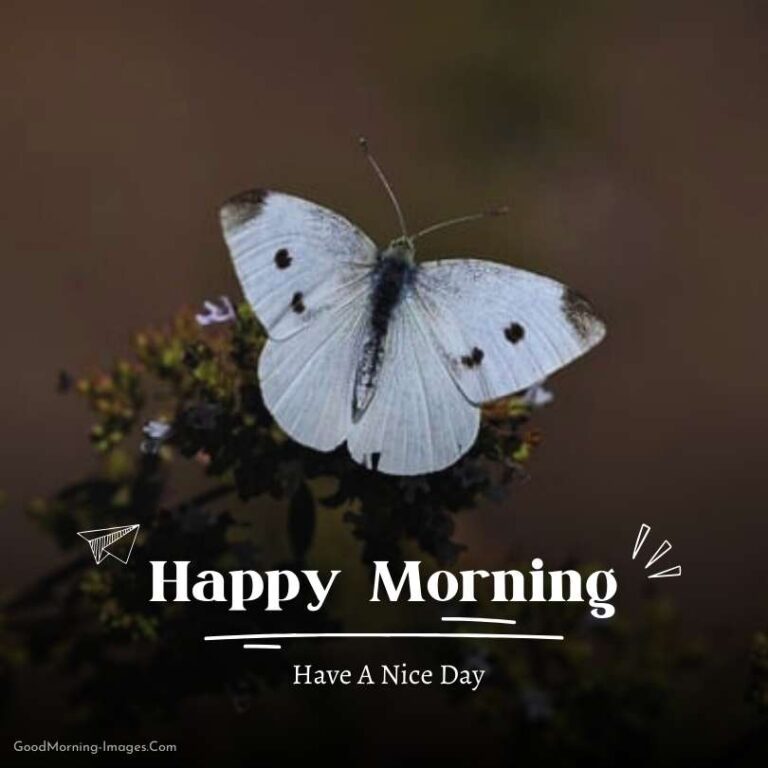 ᐅ150+ Happy Morning Images, Photos & Wishes