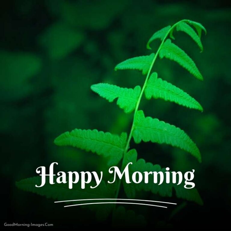 ᐅ150+ Happy Morning Images, Photos & Wishes