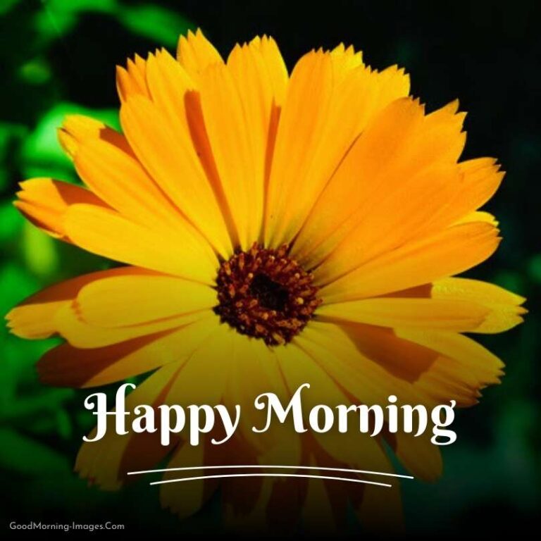ᐅ150+ Happy Morning Images, Photos & Wishes