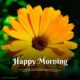 ᐅ150+ Happy Morning Images, Photos & Wishes