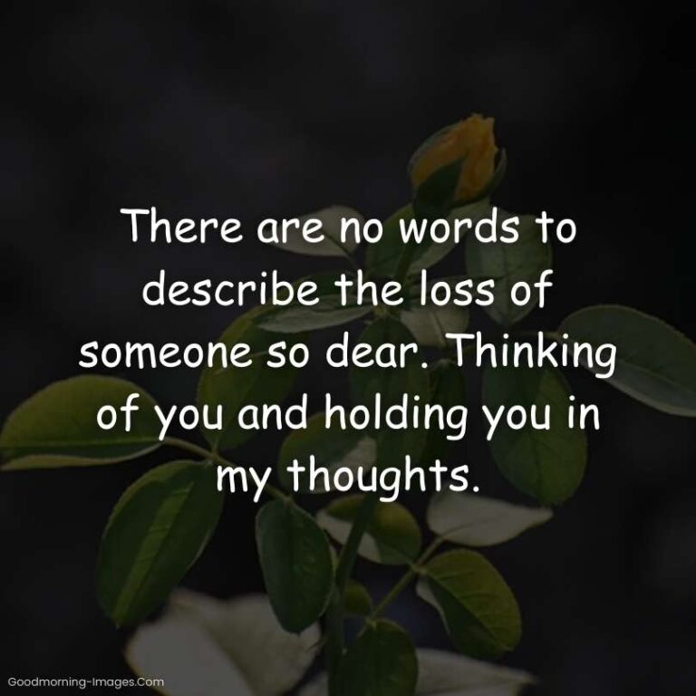 ᐅ100+ Condolence Messages For Sympathy Cards & Images