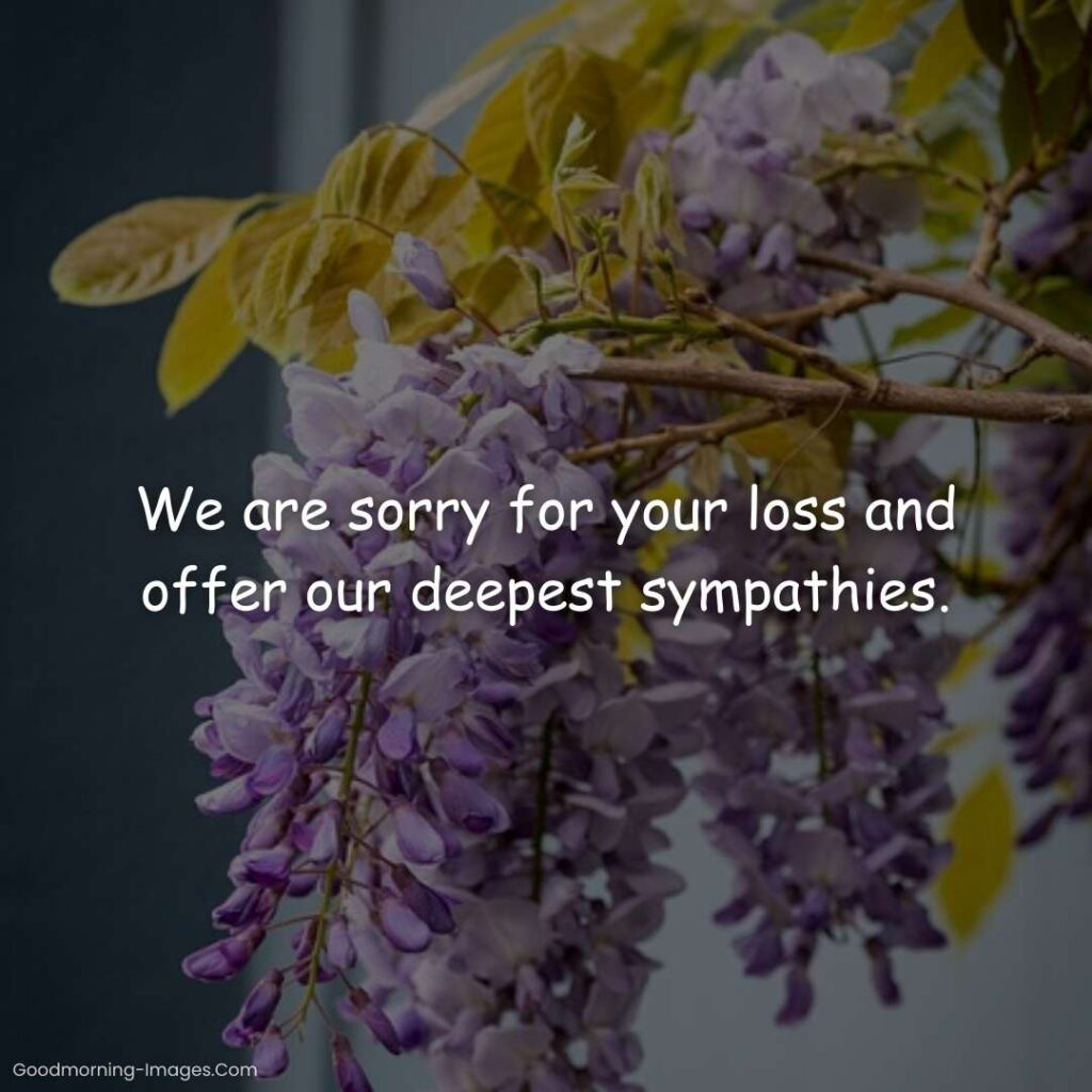 ᐅ100+ Sympathy Messages, Cards & Condolence Images