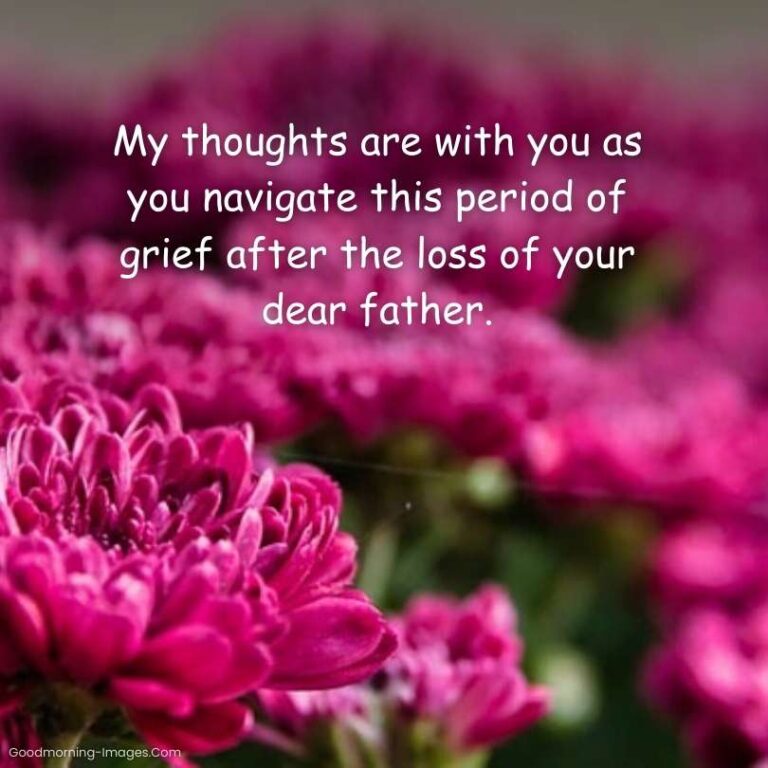 ᐅ100+Sympathy Messages For Loss Father & Condolence Images