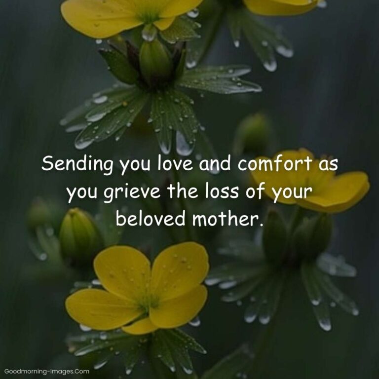 ᐅ100 Sympathy Messages For Loss Mother And Condolence Images