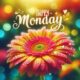 ᐅ Happy Monday Messages, Wishes, Quotes & Images