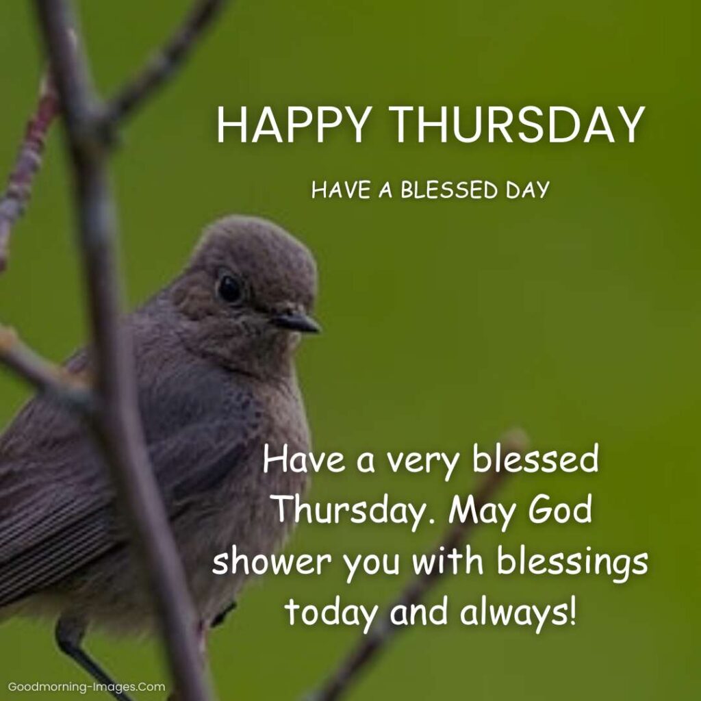ᐅ100+ Happy Thursday Blessings, Wishes, Quotes & Images