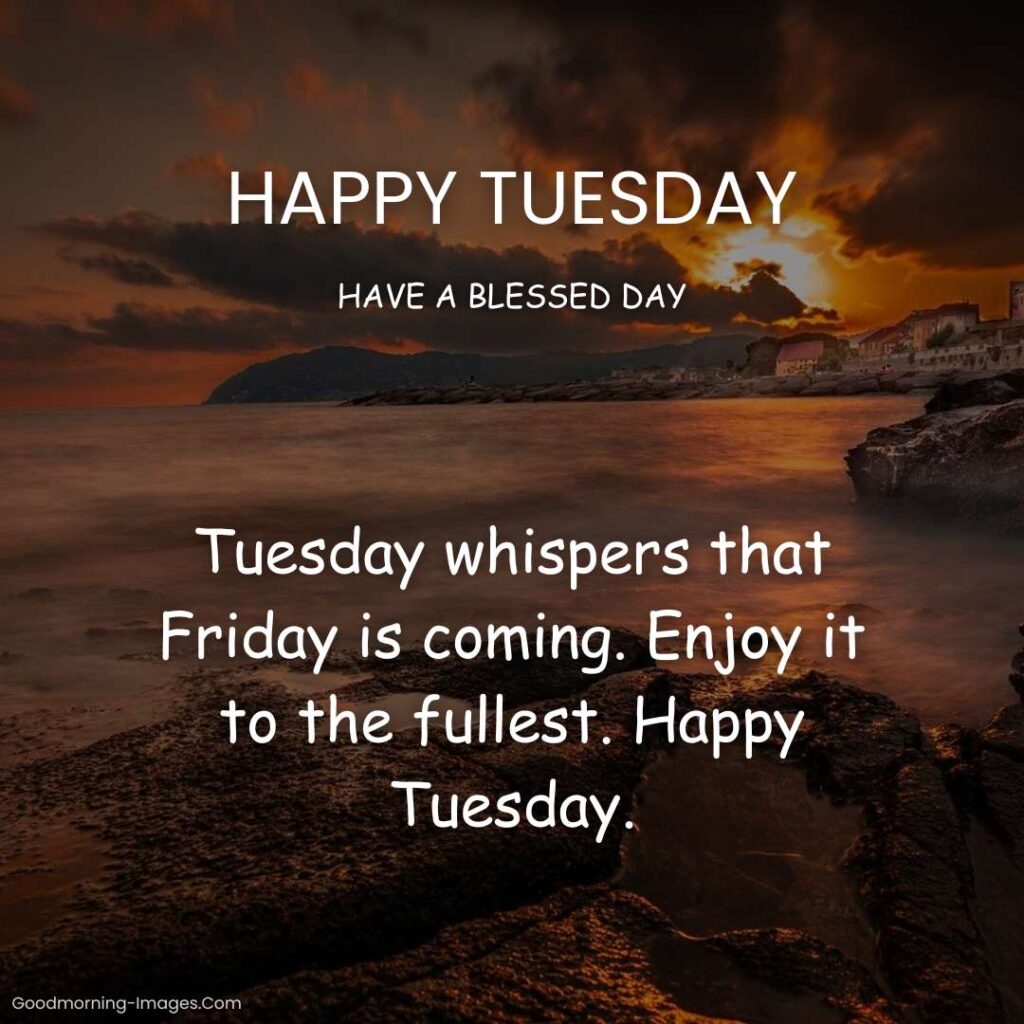 ᐅ100+ Happy Tuesday Blessings, Wishes, Quotes & Images