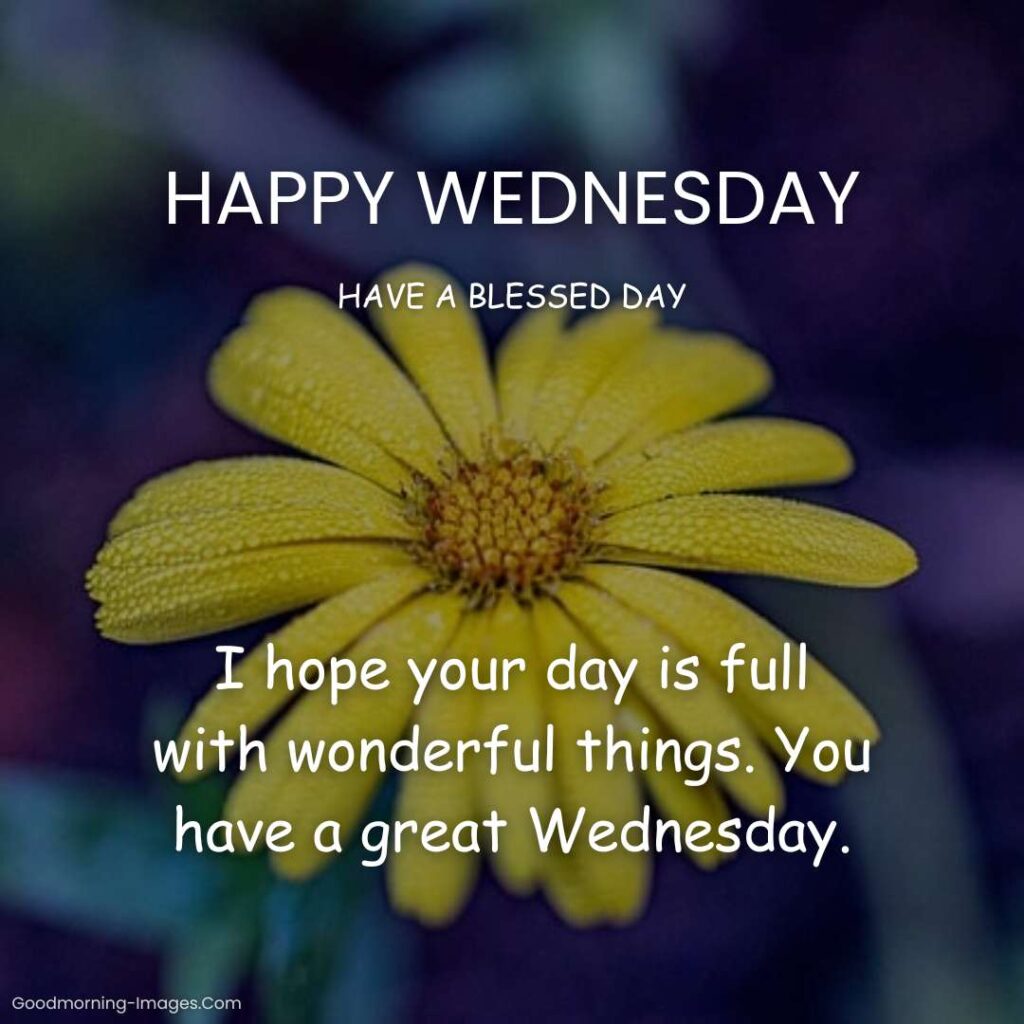 ᐅ100+ Happy Wednesday Blessings, Wishes, Quotes & Images