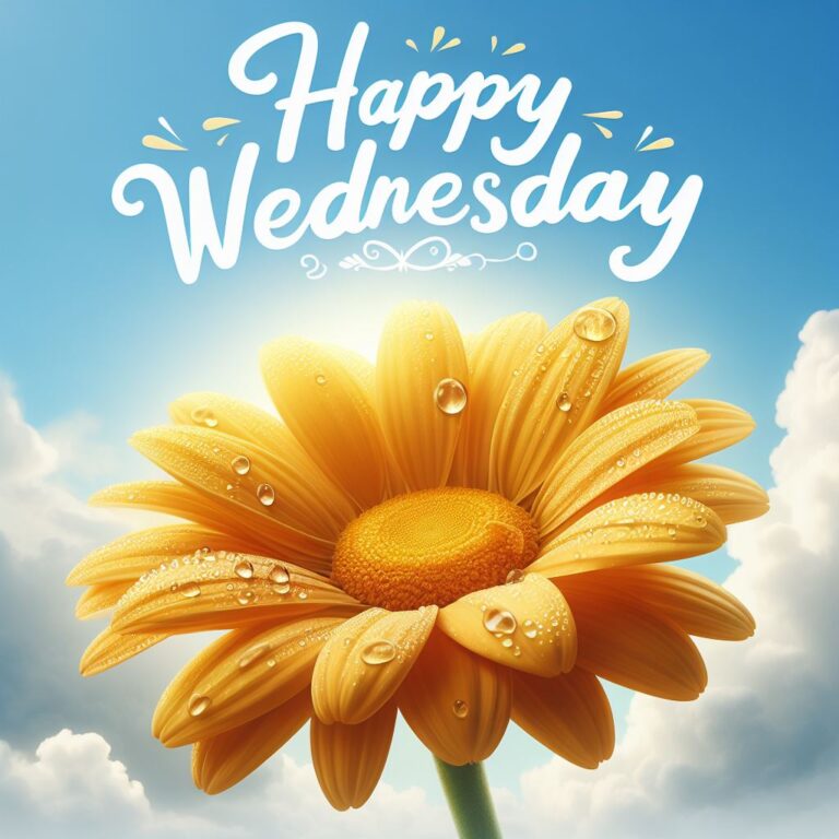 ᐅ Happy Wednesday Messages, Wishes, Quotes & Images