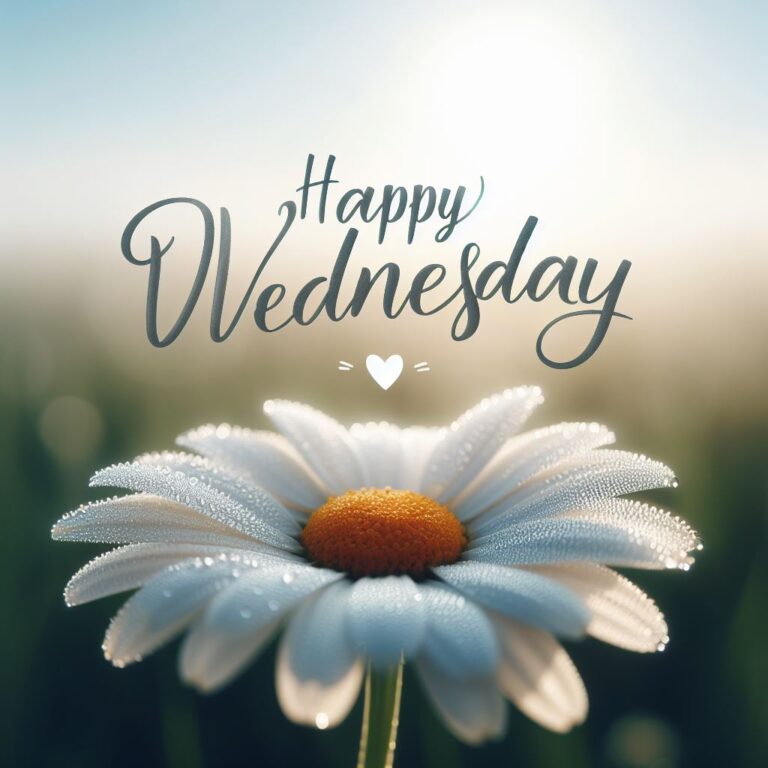 ᐅ Happy Wednesday Quotes, Wishes, Messages & Images