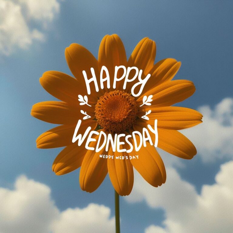 ᐅ Happy Wednesday Quotes, Wishes, Messages & Images