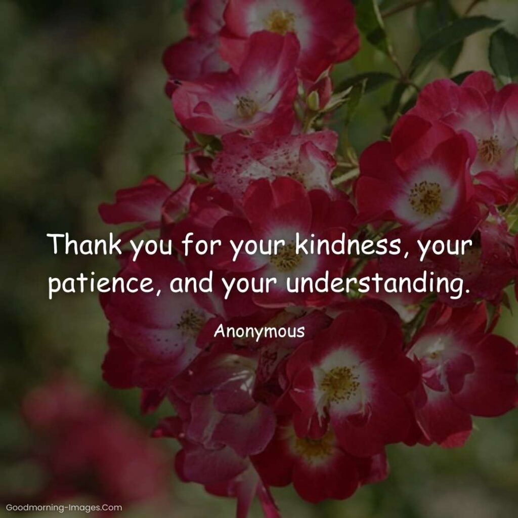 ᐅ100+ Thank You Quotes, Cards & Messages