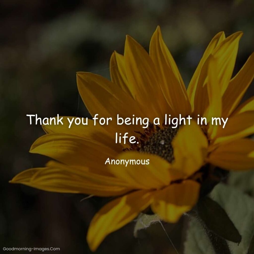 ᐅ100+ Thank You Quotes, Cards & Messages